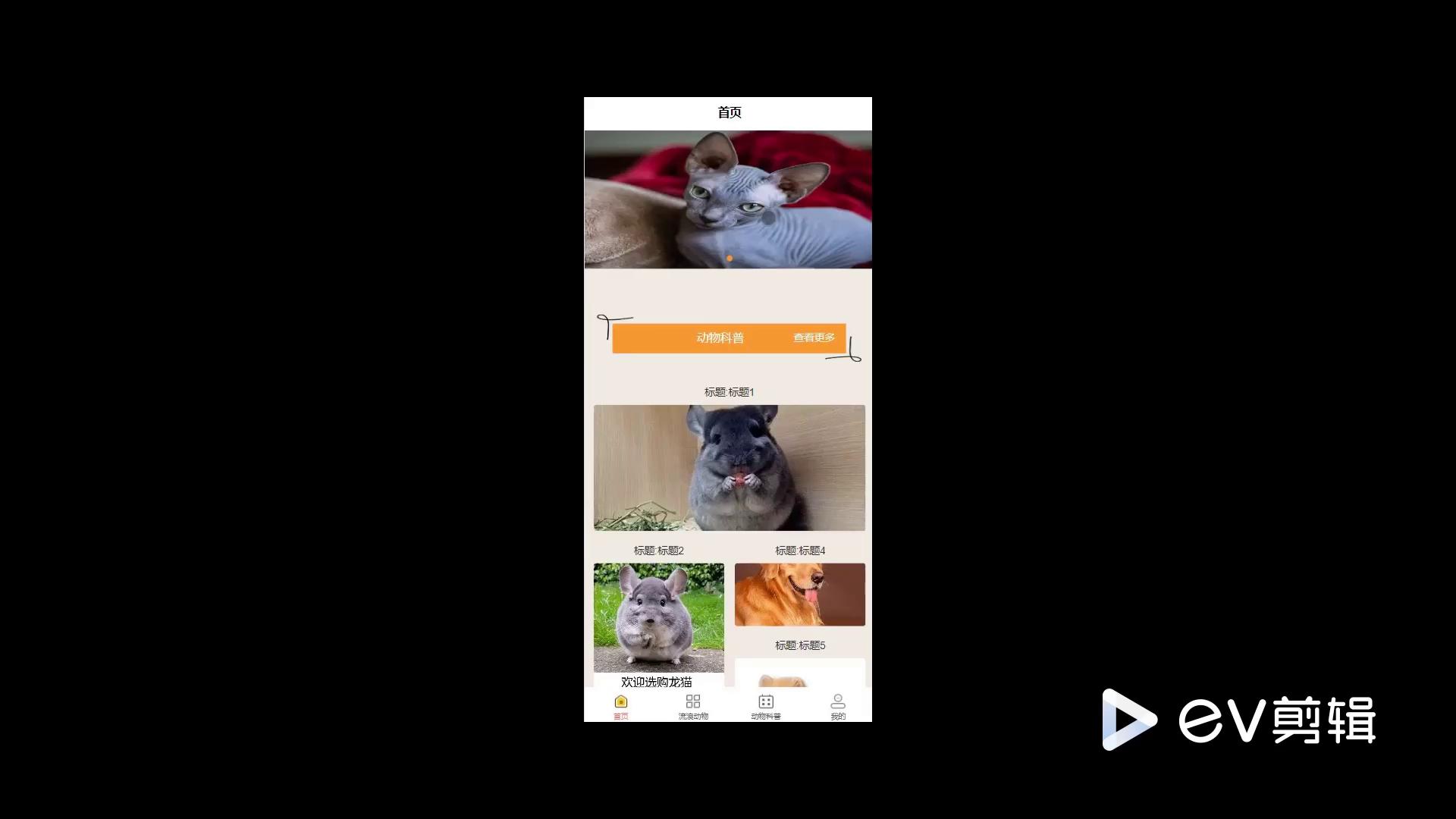 E176流浪动物领养系统-原生小程序Springboot-JAVA.VUE - 润码软件-计算机毕业设计源码论文定制成品分享平台